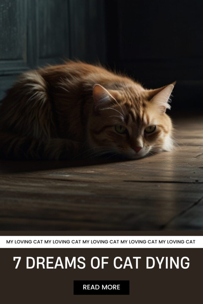 Dream of Cat Dying | 7 Scenarios and Interpretation