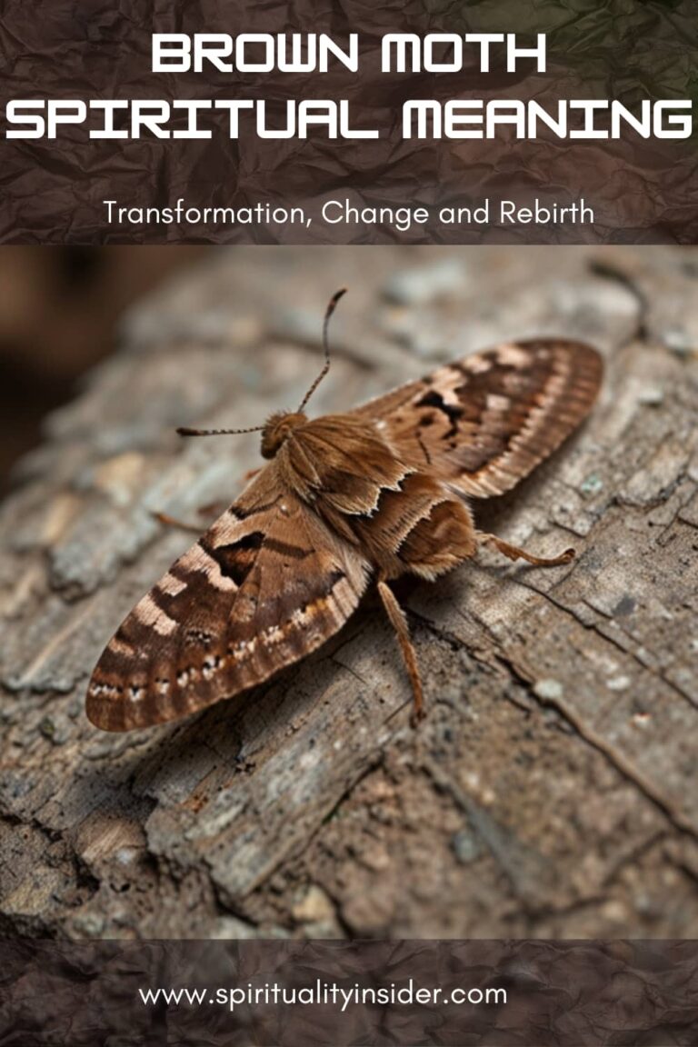 Brown Moth Spiritual Meaning | Does it Mean Love or Money?