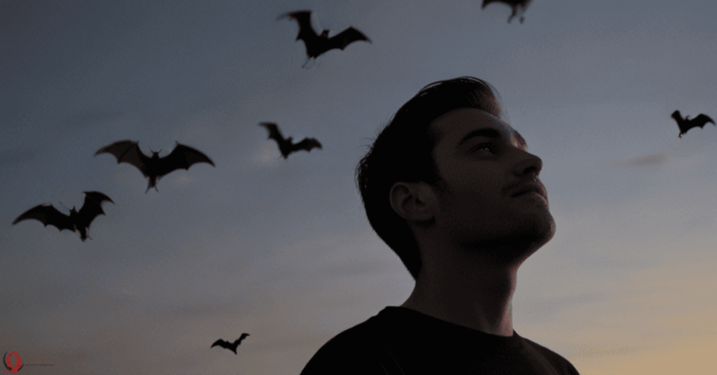 Unveil The Spiritual Meaning of a Bat | Totem & Spirit Bird